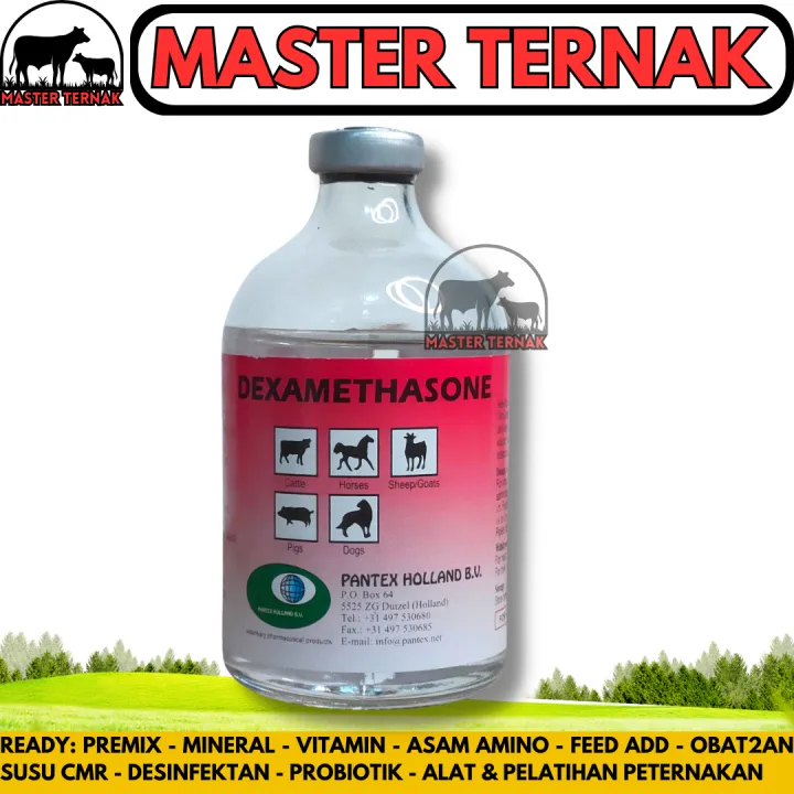 PANTEX DEXAMETHASONE 100 ml - Obat anti inflamasi hewan - Pantex ...