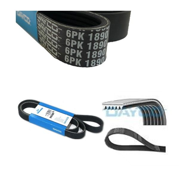 Dayco 6PK1890 Belt V Ribbed | Lazada Singapore