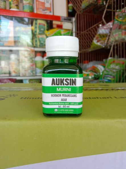 Hormon Perangsang Akar Auksin Murni 60 ML | Lazada Indonesia