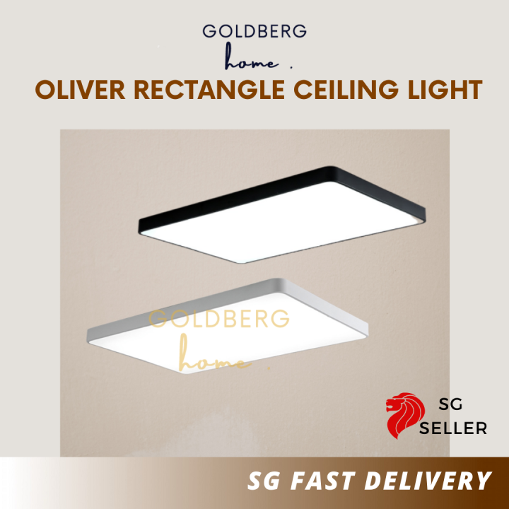 Oliver Rectangle Ceiling Light 45w Black and White - Daylight & 3 tones ...