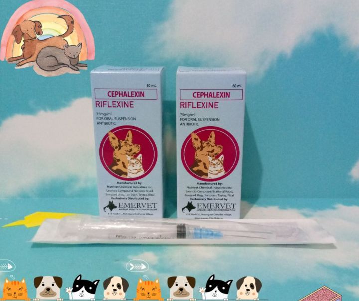 Cephalexine Riflexine 60mg/ml Antibiotic Oral Suspension for Cats and ...