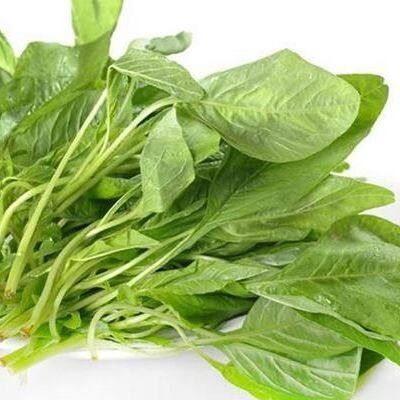 ORGANIC VEGETABLE - Biji Benih Bayam / Chinese Spinach Seed 20g 有机苋菜 ...