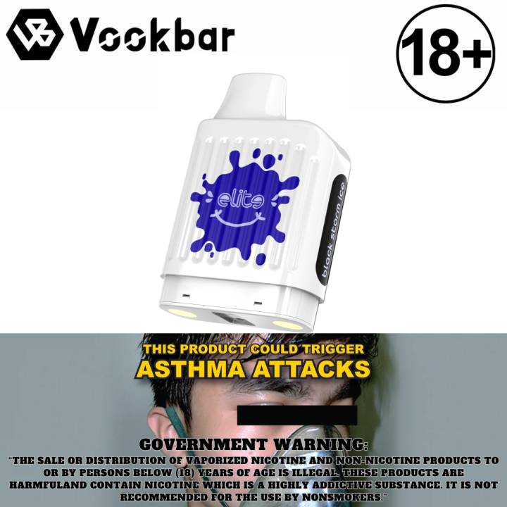 Vookbar Elite 12,000 Pods Black Storm Ice Type-C Rechargeable | Lazada PH