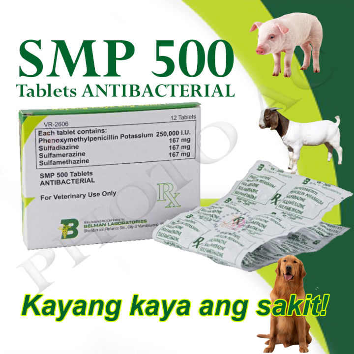 SMP 500 tablets Antibacterial for animals 1 Tablet | Lazada PH