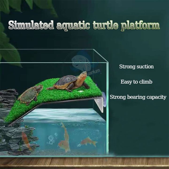 Graceful Turtle Platform Rest Tortoise Climbing Ladder Drying Basking ...