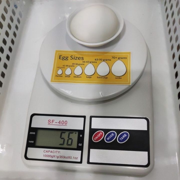 DIGITAL egg scale kitchen scale 10000g | Lazada PH