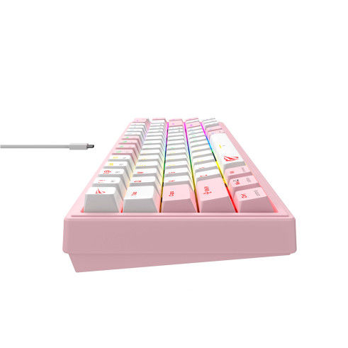 HAVIT GAMING MECHANICAL KEYBOARD GAMENOTE KB874L | Lazada