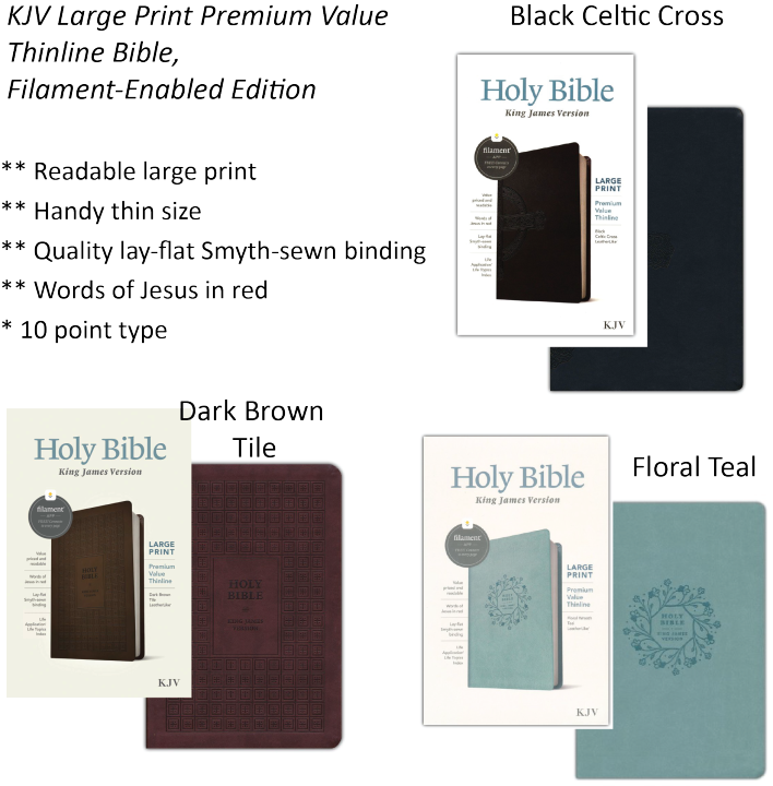 KJV Large Print Premium Value Thinline Bible, Filament Enabled Edition ...