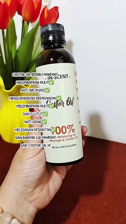 Organic Castor Oil Organic Cold Pressed Pure Castor Oil Pure Natural ...