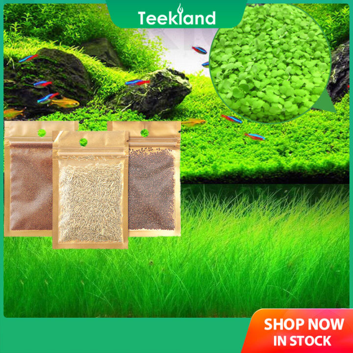 Aquarium Plant Seed Water Grass Foreground Aquatic Plants Carpet Plant ...