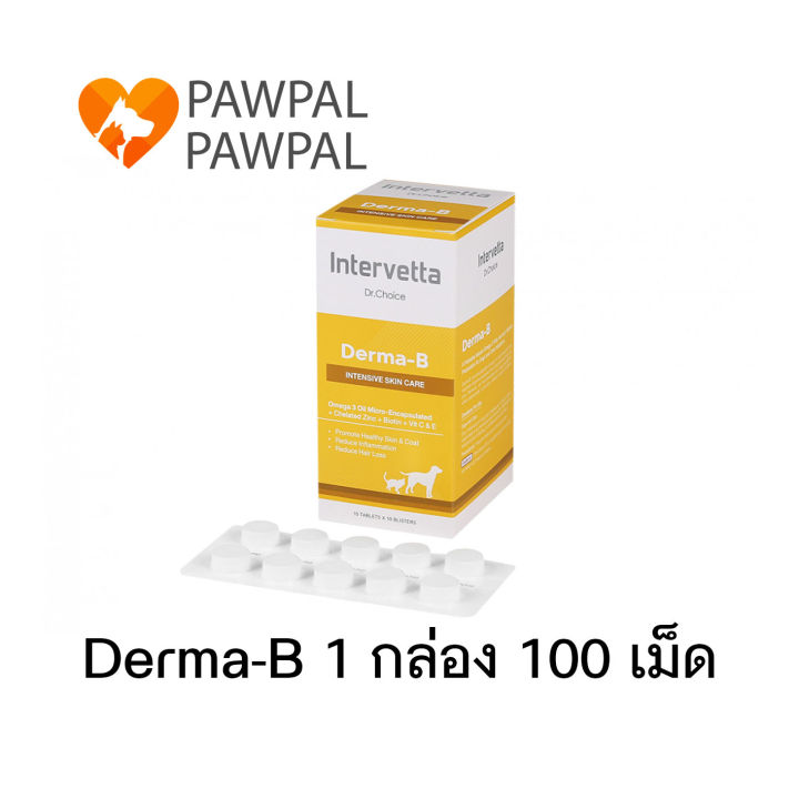 Intervetta Dr. Choice Derma-B Exp.1/2024 อาหารเสริม บำรุงผิวหนัง บำรุงขน สุนัข แมว skin ...