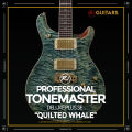 RJ Professional Electrics - Tonemaster Electric Guitar | Lazada PH