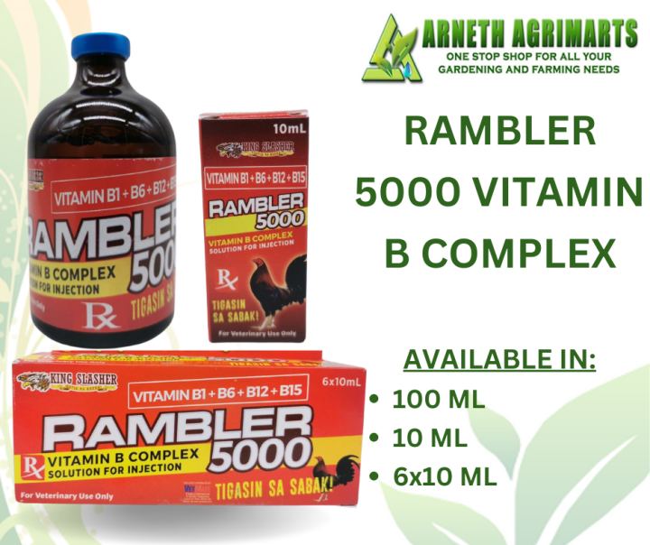 RAMBLER 5000 VITAMIN B COMPLEX | Lazada PH