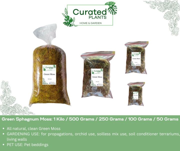 50 grams / 100 grams / 250 grams / 500 grams / 1 kilo Green Sphagnum ...