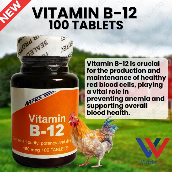 Viddavet Vitamin B-12 100 Tablets Complete B-12 Vitality for animals ...