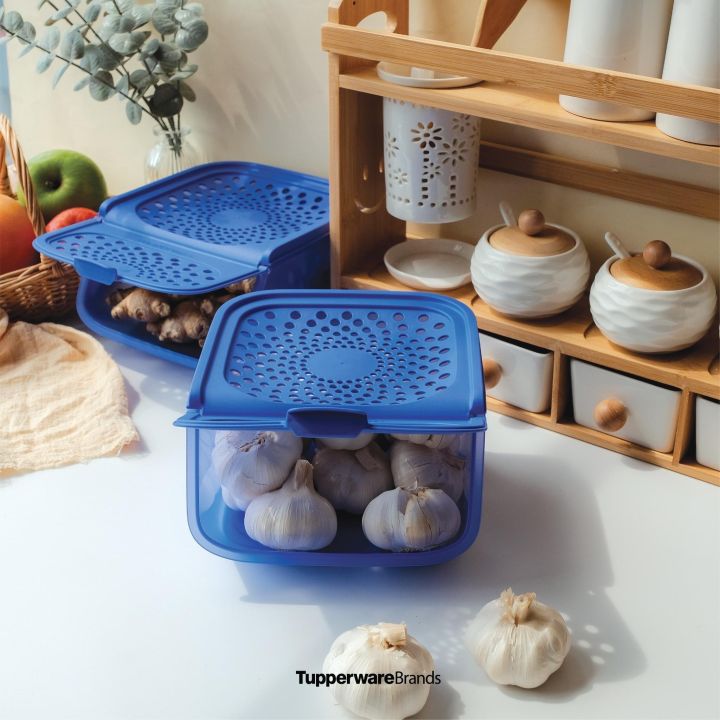 Original Tupperware Garlic N All Keeper/ Garlic and all keeper/ Bekas ...
