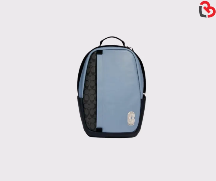 Coach Edge Backpack In Colorblock Signature Canvas With Patch (3764 ...