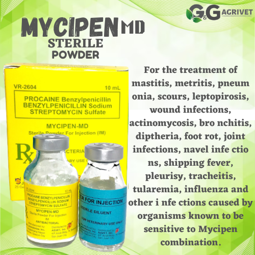 [G&G] MYCIPEN - MD / 10ML / STERILE POWDER FOR INJECTION / ANTI ...