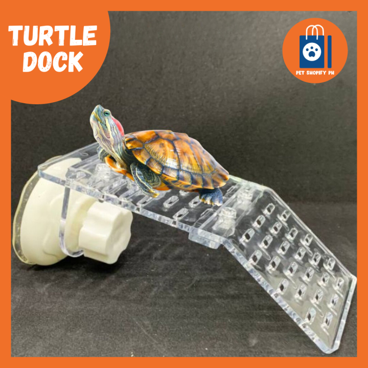 Turtle Table Turtle Dock | Lazada PH