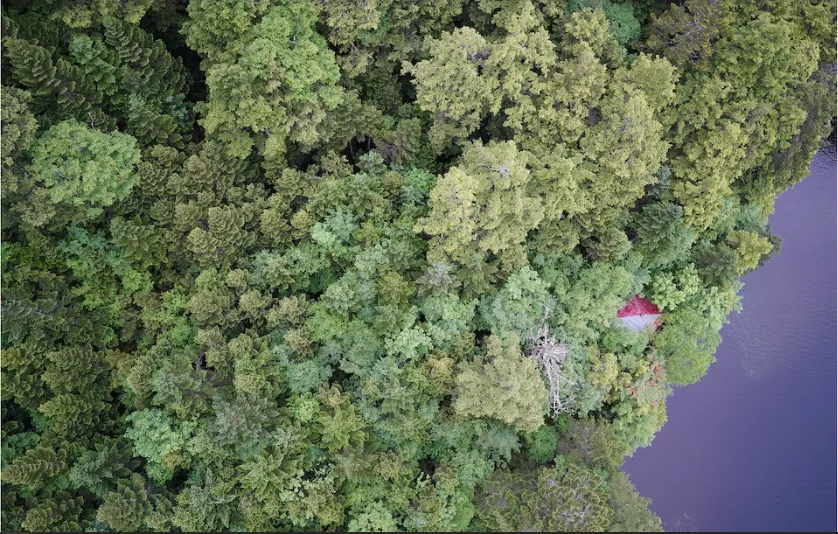 Sony Alpha ILCE-7C / A7C Black Compact Full-Frame Camera Body Only ...