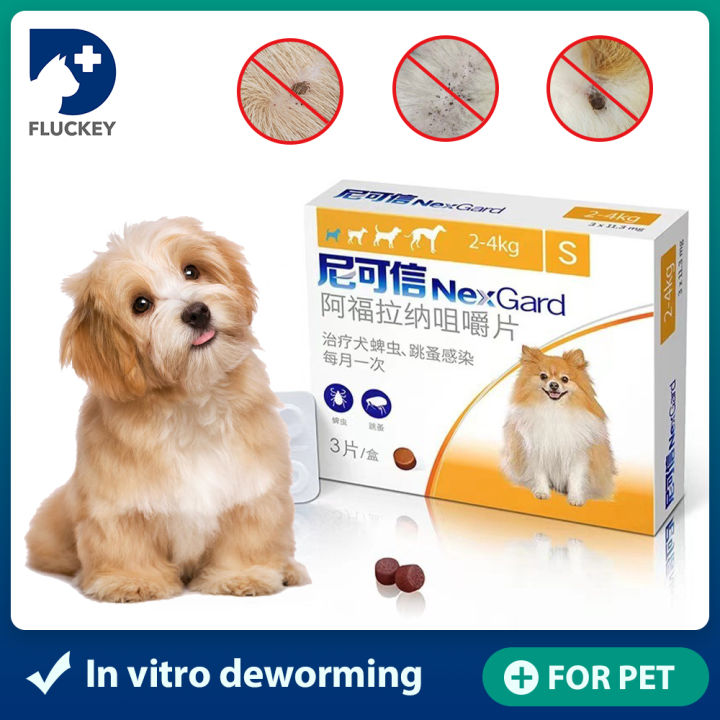 Nexgard Chewable Flea & Tick Protection EXP:5.2025 | Lazada PH