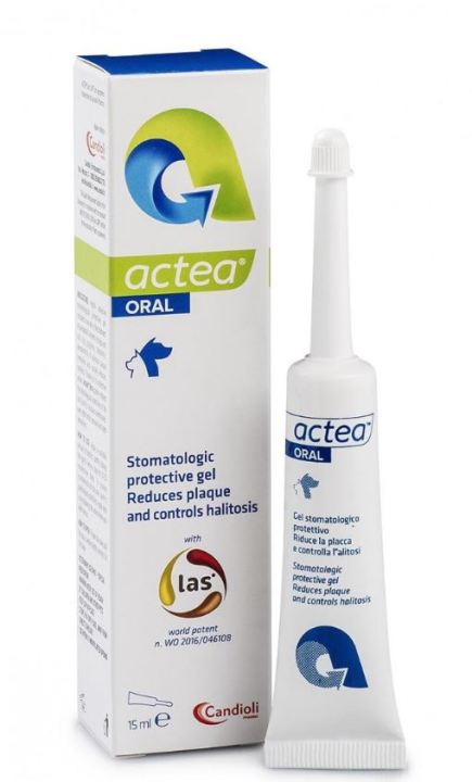 Candioli Actea Oral Stomatologic Protective Gel for Dogs & Cats 15ml ...