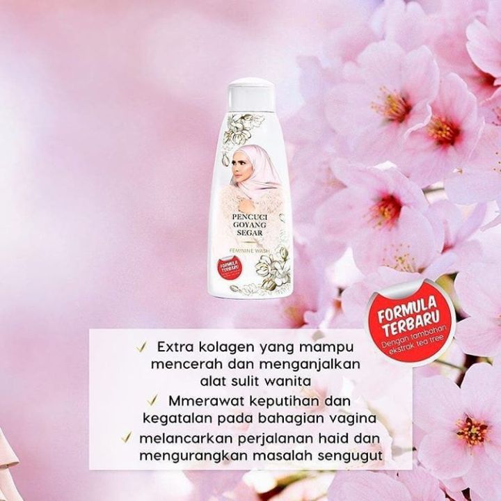 NEW! Pencuci Goyang Segar Che Ta by RCW 100% ORIGNAL | Lazada