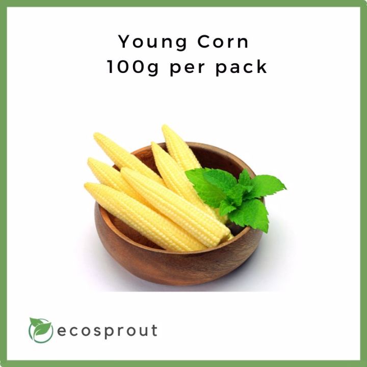 Young Corn | 100g | Pack | Lazada PH