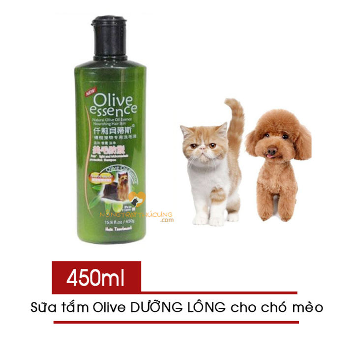 Sữa Tắm Olive Dưỡng Lông Dành Cho Chó Mèo 450ml - [Nông Trại Thú Cưng ...