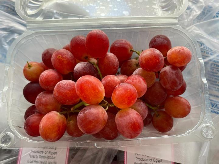 Red Seedless Grapes 红葡萄 Anggur Merah 500gm+- (only in Penang) | Lazada