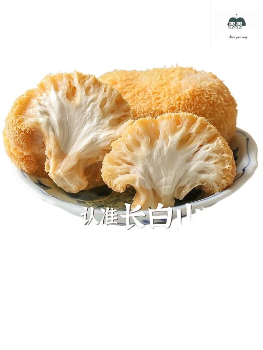 东北长白山猴头菇干货Dried Monkey Head Mushroom From Changbai Mountain in ...