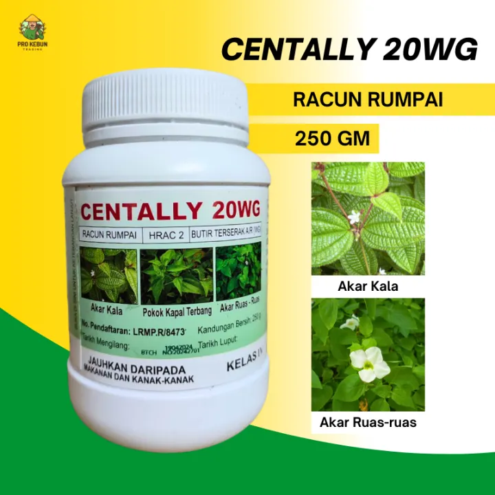 Centally 20WG Racun Rumput Herbicide Racun Rumput Serbuk Alai Ally ...