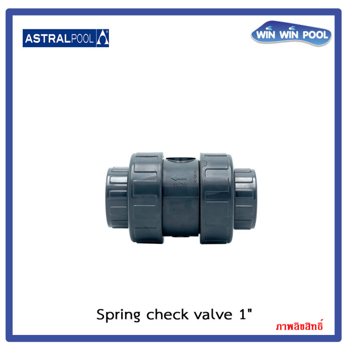 Astralpool Spring Check Valve 1" ป้องกันการไหลกลับ ชนิดสปริง | Lazada.co.th