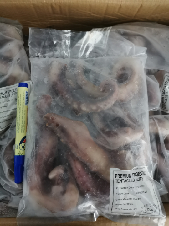 Premium Squid Tentacle/Tako Leg 1KG [Halal] | Lazada