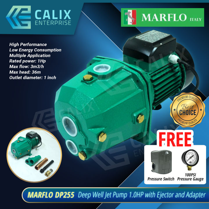 Deep Well Water Pump 1HP with Twin Pipe Ejector - MARFLO DP255 | Lazada PH