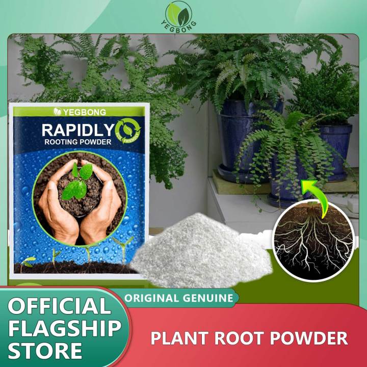 Yegbong Rooting Powder Fertilizer Nutrition Promote Plant Flower Root ...