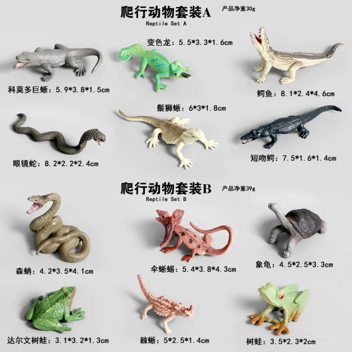Hand Painted Simulation Wild Animal Reptile Models Set For Kids ...