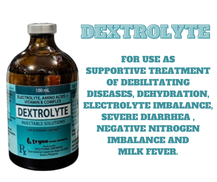 [G&G ] DEXTROLYTE / Electrolytes / Amino Acids + Vitamin B Complex ...
