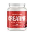 Primeval Labs Creatine Monohydrate Powder - 120 Servings and Travel ...