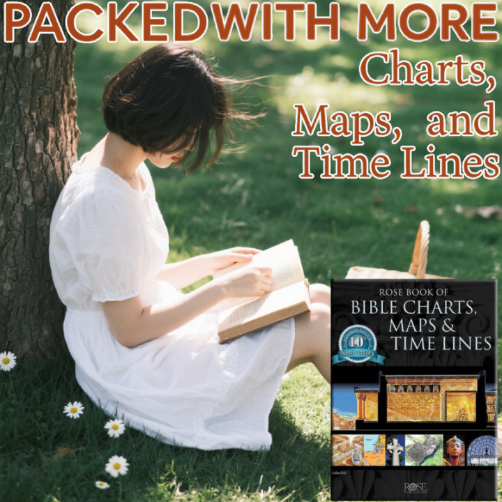 【Location Guide】rose Book Of Bible Charts And Maps 玫瑰圣经图表和地图集 Bible ...