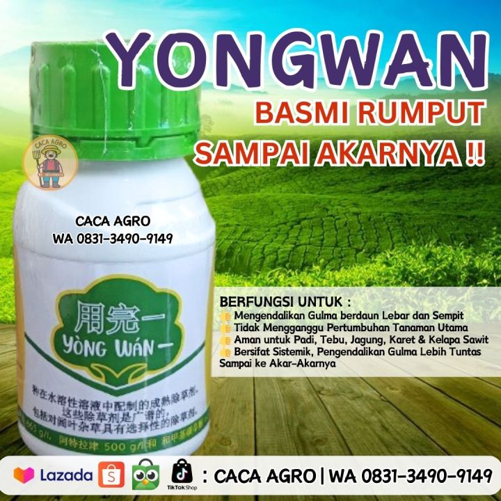 YONGWAN / YONG WAN HERBISIDA RACUN RUMPUT | Lazada Indonesia