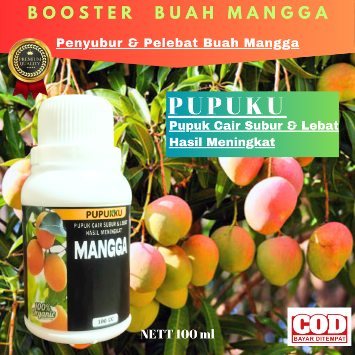 Pupuk Mangga Biar Cepat Berbuah Lebat Pupuk Penyubur Pohon Mangga Booster Pelebat Buah mangga ...
