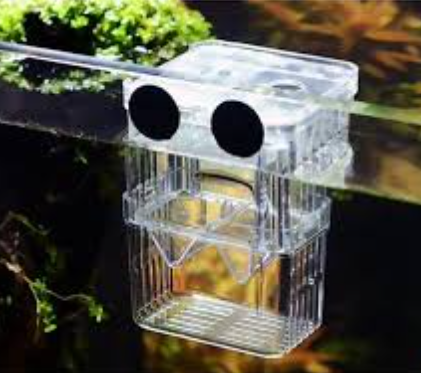Sunsun Breeding Box Isolation Box SX 13 Kotak Isolation Isolasi Baby ...