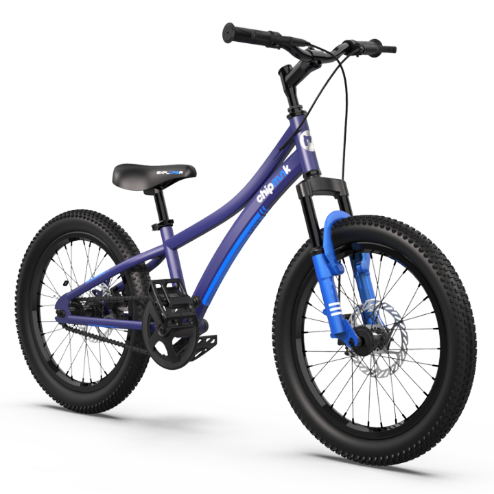 Local warranty Royalbaby Kids Bike Explorer 20 Inch Blue Pink Bicycle ...
