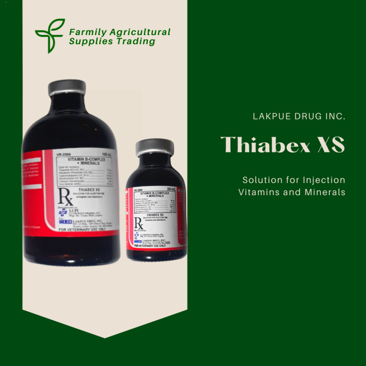 Lakpue Drug Inc. Thiabex XS | Lazada PH