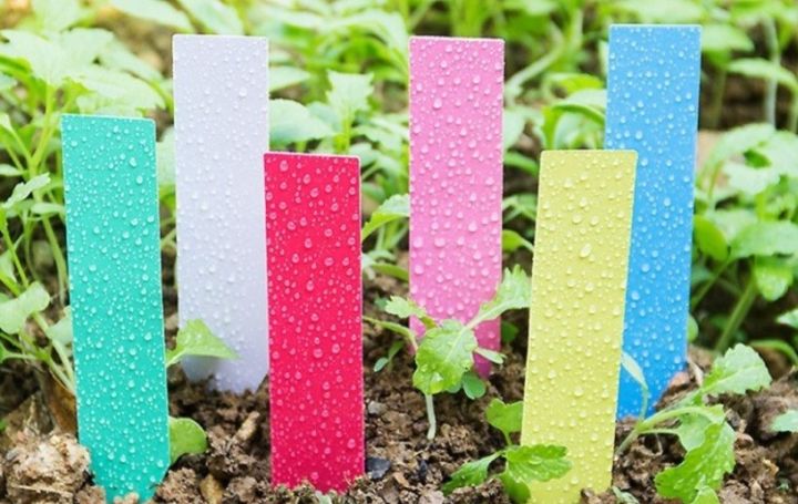 LABEL MINI PREMIUM PACK 100PCS label penanda benih tanaman stik tancap ...