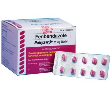 Pakyaw Dewormer Tablet 10 Tablets | Lazada PH