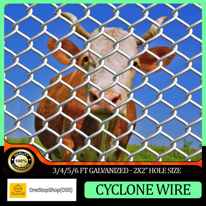 High Quality Commercial Chainlink Mesh with Opening 2 inch Interlink ...