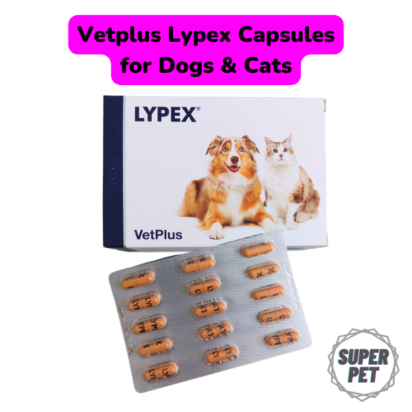 Lypex for cats and dogs (60 capsules) | Lazada PH