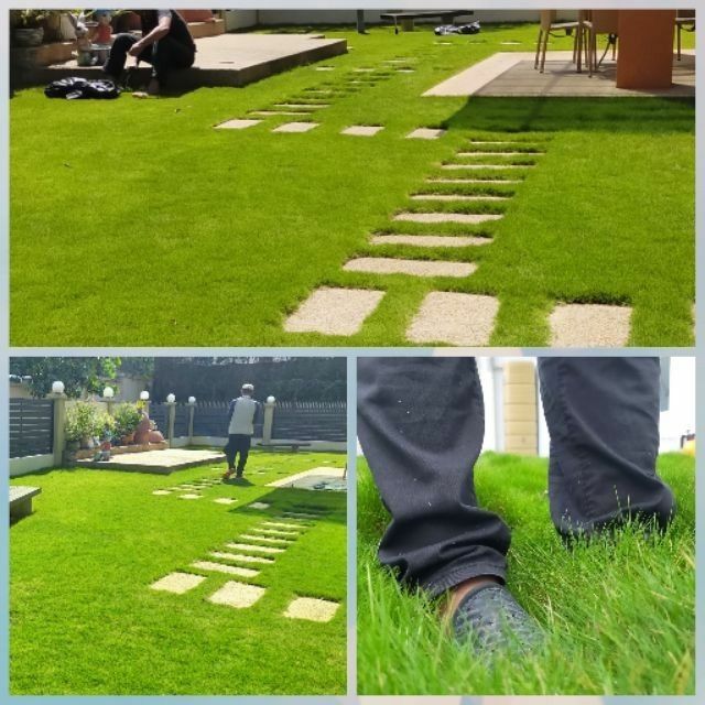 Baja Rumput Kualiti Tinggi/High Quality Fertilizer Npk 151515 | Lazada